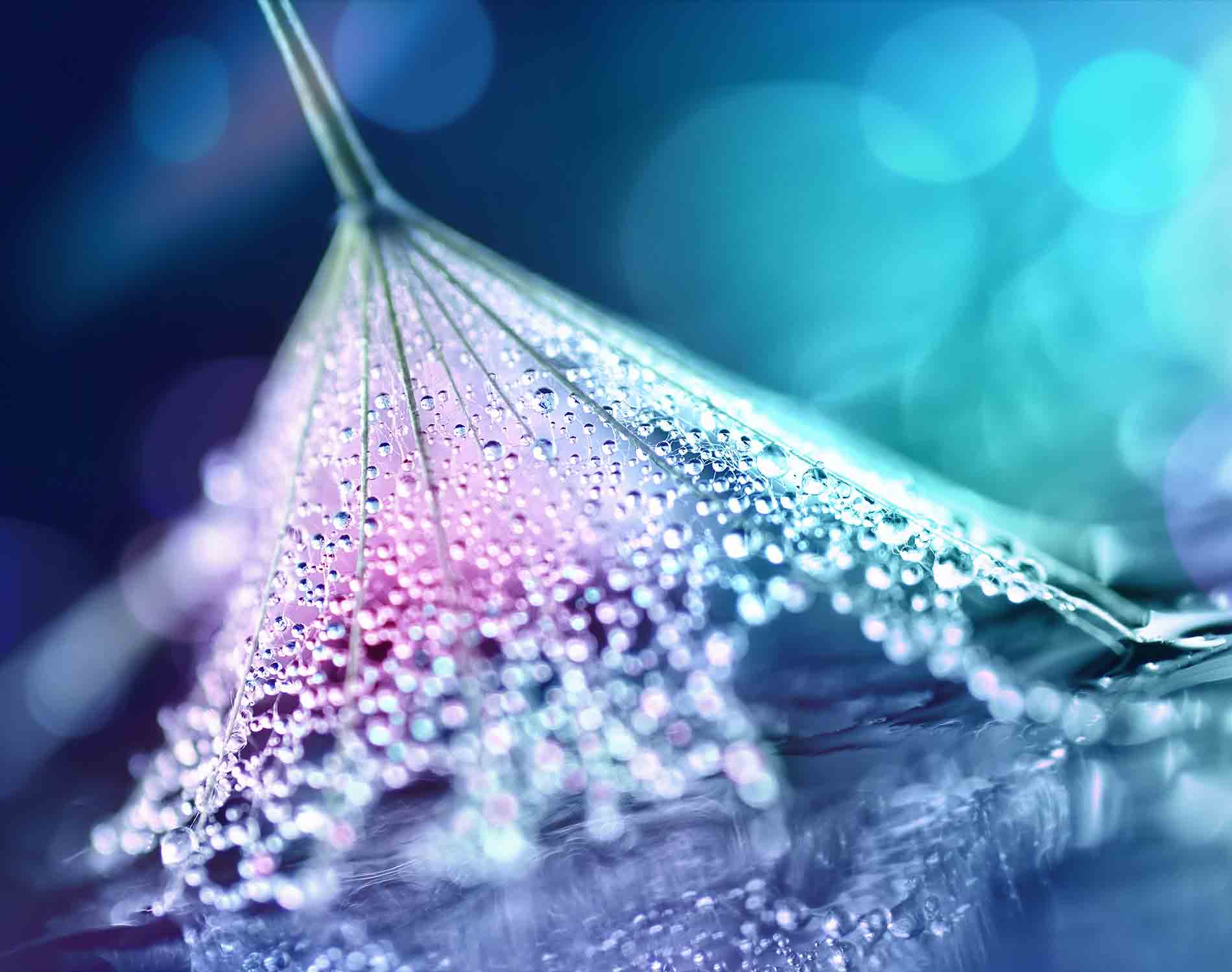 HHS-OIG Issues New General Compliance Program Guidance - Dentons On Call