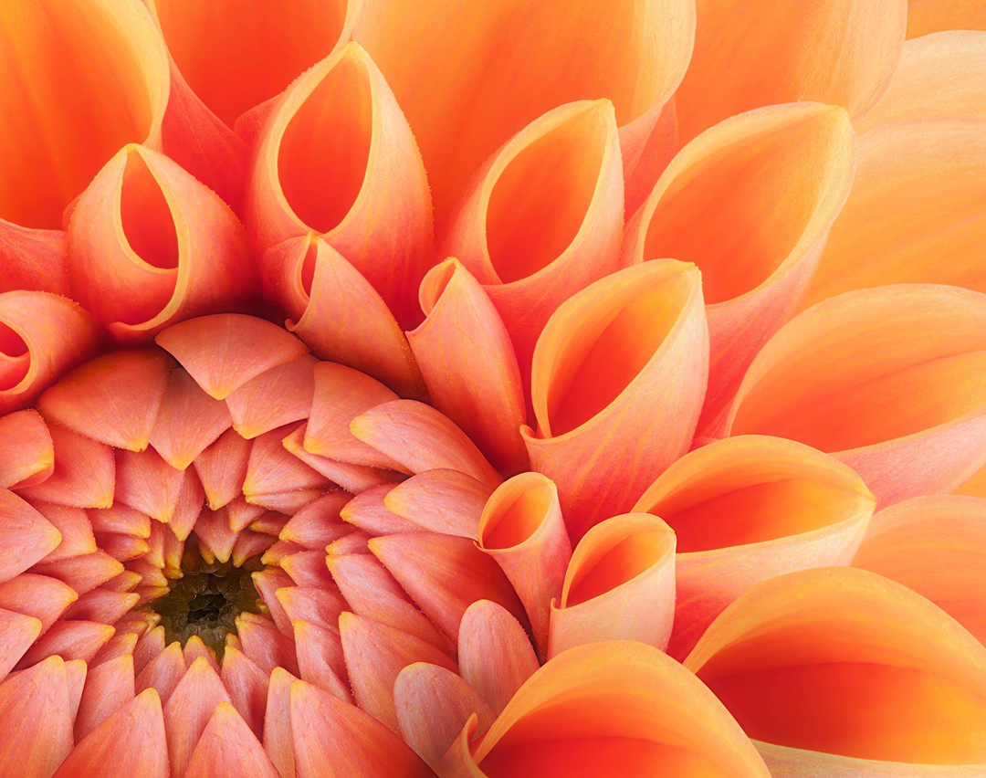 Ep. 70 - Use caution before charging patients extra fees - Dentons On Call